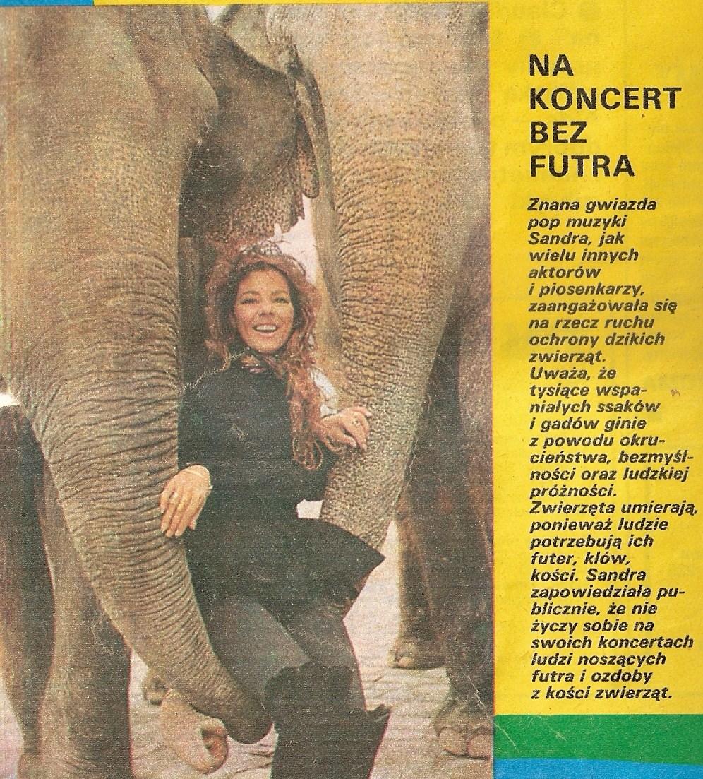 80s.pl :: Zobacz temat - Sandra - "Paintings in Yellow" (1990)